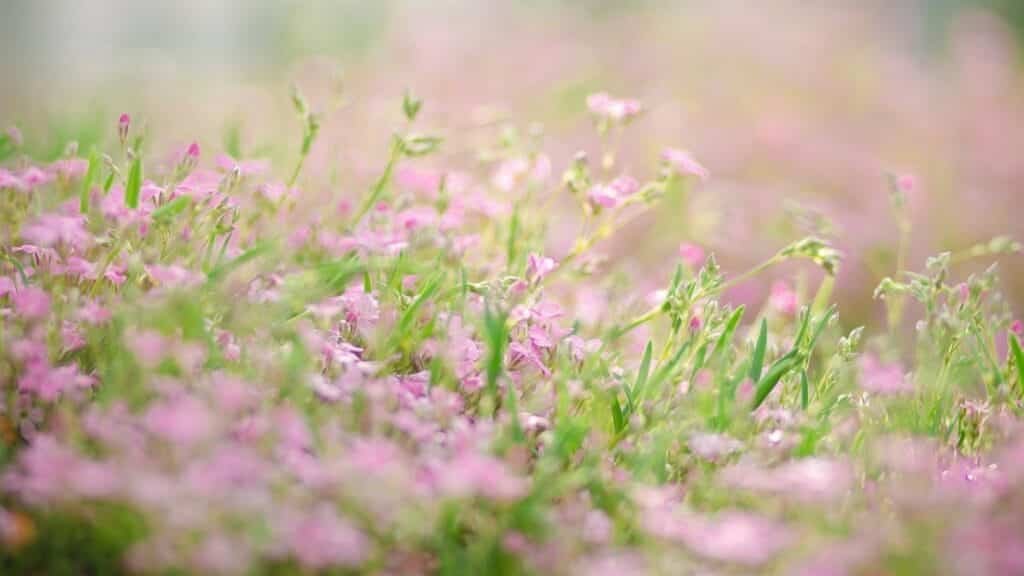 10 Spiritual Influencers You MUST Follow in 2025 (And 3 To Avoid At All ...